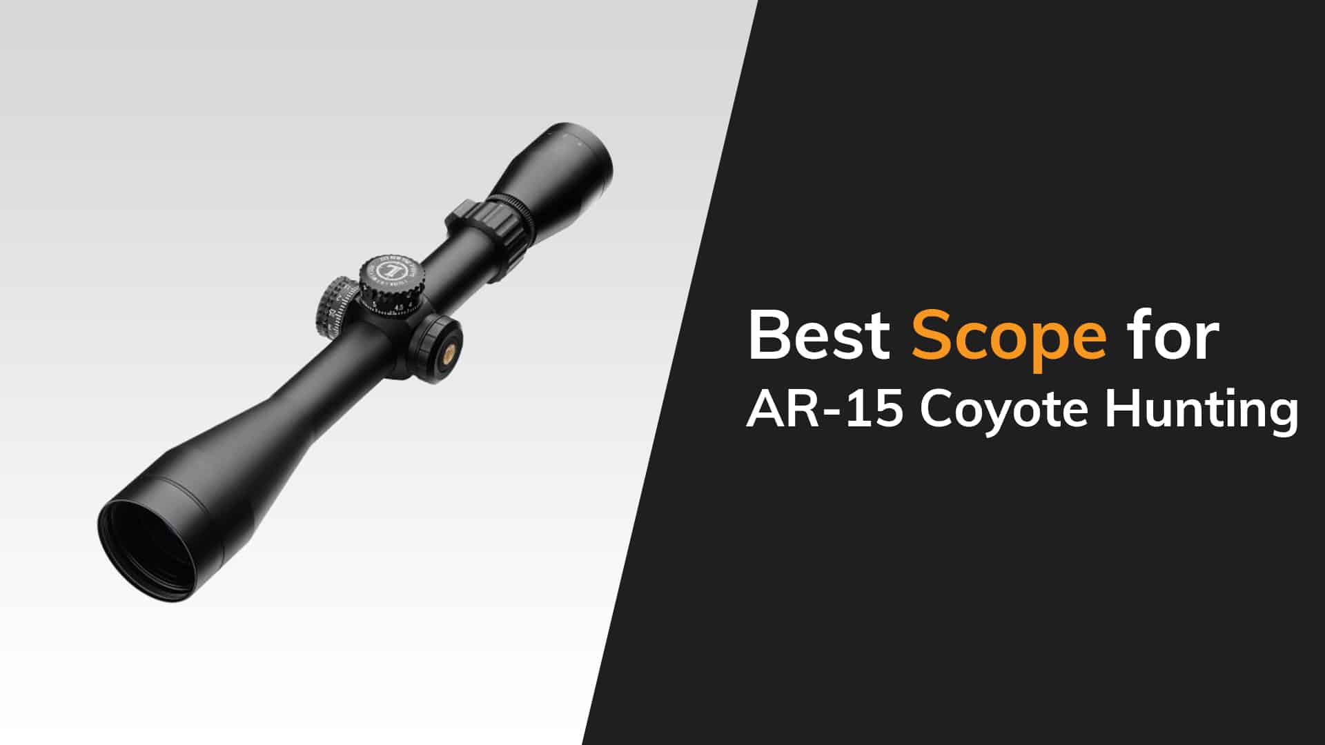 The Best AR-15 Rifle Scopes for Hunting Coyotes | The Arms Guide