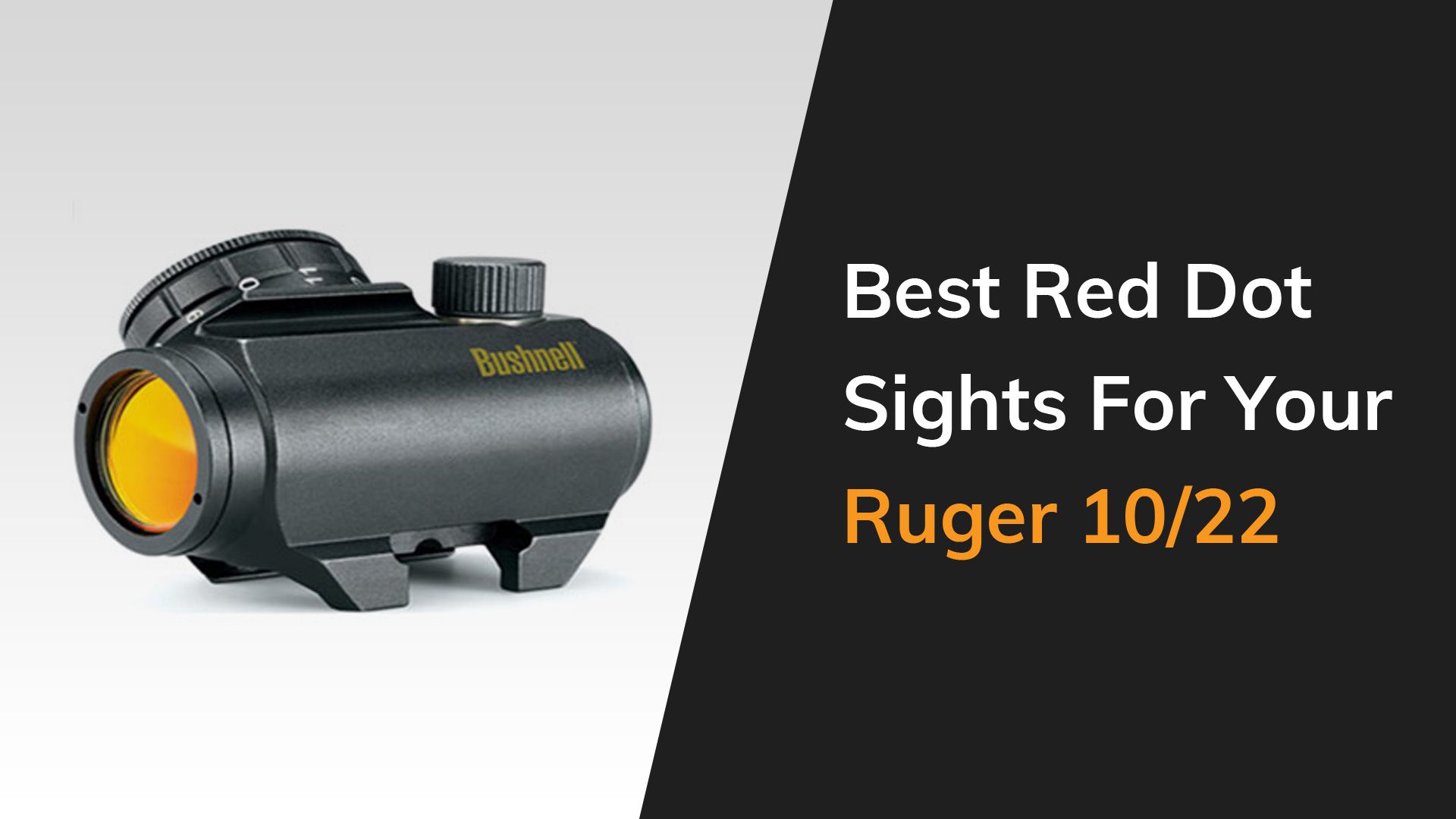 Best Red Dot Sights for Ruger 10/22 | The Arms Guide